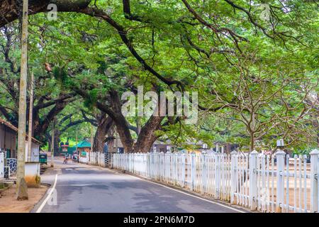 Fort Frederick in Trincomalee, Sri Lanka Stock Photo - Alamy