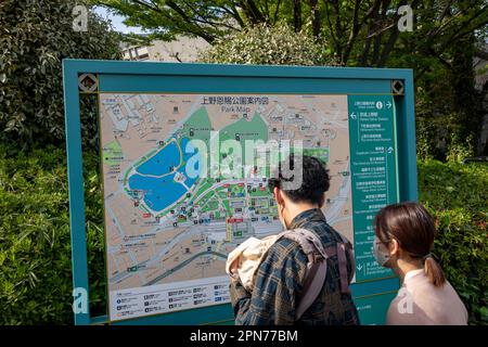 Ueno Park Tokyo, April 2023, crowds walk through Ueno park beside the ...