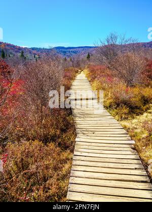 Graveyard Fields Loop Trail, Graveyard Fields, Blue Ridge Parkway ...