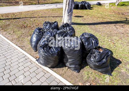 Black plastic bags with last year's dry leaves on the lawn in the park ...
