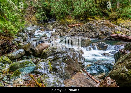 A view of Snoaualmie Falls in Washington State from down river Stock ...