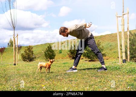 Dogs playing in the park Stock Photo - Alamy
