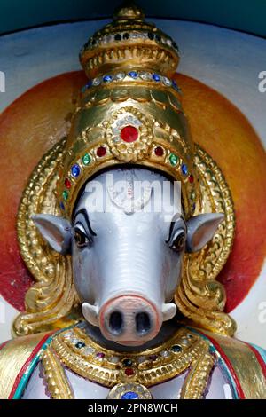 Varaha , avatar of Vishnu as a Boar at a temple in South India Stock ...