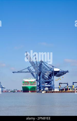 Container ship Ever Act preparing to leave the Port of Felixstowe ...