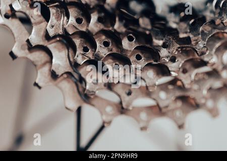 Tooth crown gear transmission on a real bicycle wheel Stock Photo - Alamy