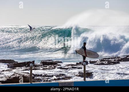 Waves crashing over Dee Why Beach Rockpools, ocean swimming pools Stock ...