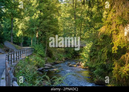 Course of the river Enz with bridge, Bad Wildbad, spa garden, Black ...