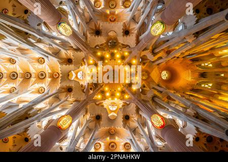 Artistic ceiling vault with columns, interior of the Sagrada Familia ...