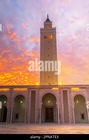 Malik ibn Anas Mosque: A Historic Mosque in Carthage, Tunisia Stock ...