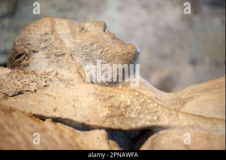 Grace Darlings Tomb inside St Aidans Church Stock Photo - Alamy