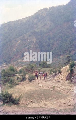 Dakoli is a small Village/hamlet in Chaupal Tehsil in Shimla District ...