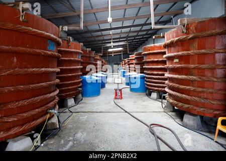 Warehouse with big red wooden barrels for fish sauce, fish sauce ...