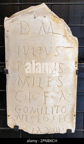 Phoenician and Carthaginian Artifacts at the Utica Punic and Roman ...