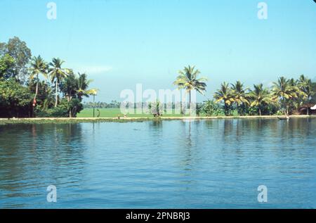 The scenic backwaters of Kerala comprise a serene stretch of lakes ...