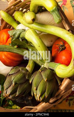 Vegetables from the plain of Albenga: spiny artichoke from Albenga ...