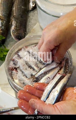 Salting of anchovies at Pescheria Clelia fish market, via Colombo 106 ...