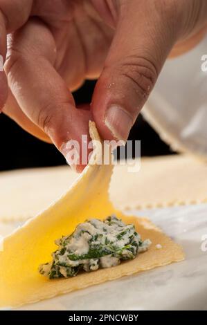 Working with fresh handmade pasta Pansoti, typical of Liguria. Italy ...