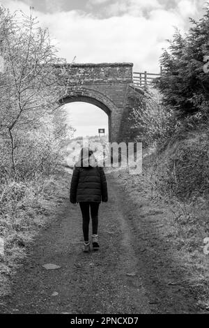 The Cinder Track - Scarborough to Whitby (21 miles Stock Photo - Alamy