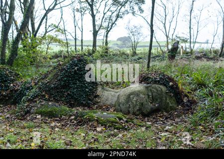 The Lost Gardens of Helligan on the 30th October 2022 in Pentewan ...