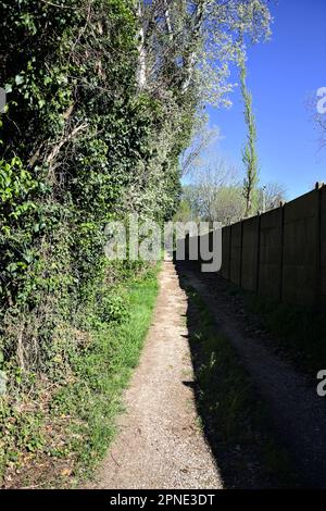 Path bordered by a concrete boundary wall of an industrial complex in a ...