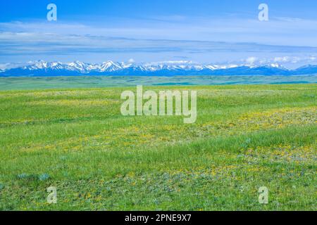 vast prairie and crazy mountains near harlowton, montana Stock Photo ...