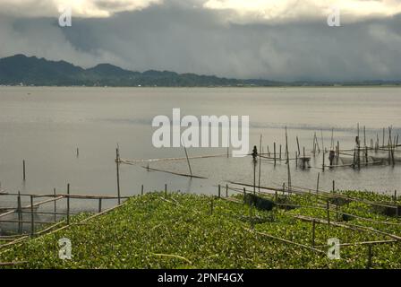 Scenery of Lake Tondano where a fish farm is built, in a foreground of ...
