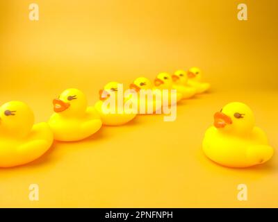 Group of toy ducks. Leadder and teamwork concept Stock Photo - Alamy