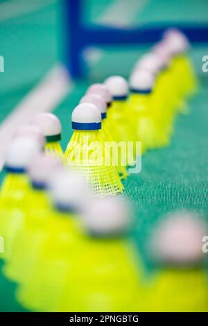 badminton court indoor shuttlecock Stock Photo - Alamy