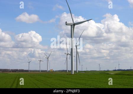 Wind turbine along dike at Ooltgensplaat on island Goeree-Overflakkee ...