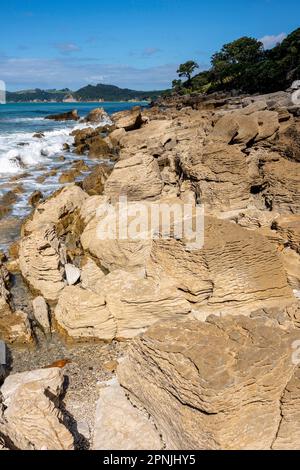 The Waipu Coastal Walkway, Waipu Cove, Bream Bay, Northland, New ...