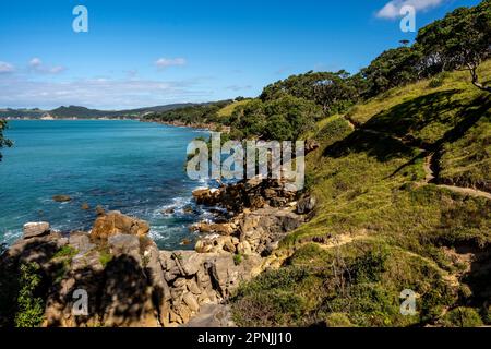 The Waipu Coastal Walkway, Waipu Cove, Bream Bay, Northland, New ...