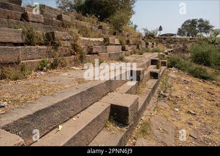 Ten Talav, Near Dabhoi, Vadodara, Gujarat Stock Photo - Alamy