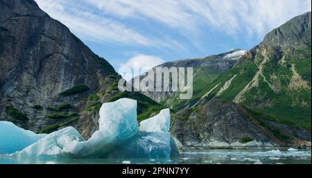 Watch the ice floes and icebergs on the river in a small boat. Rocks ...