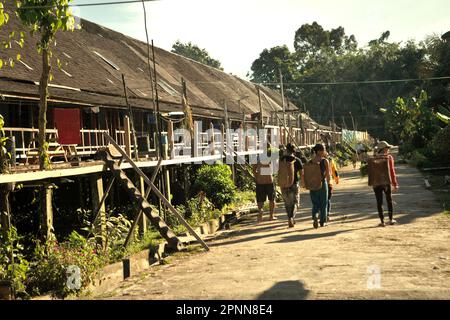 A group of women of the traditional Dayak Iban community is ...