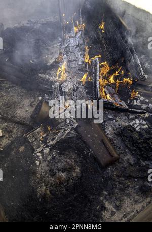Orange flames fire and charred tree branches in forest closeup Stock ...