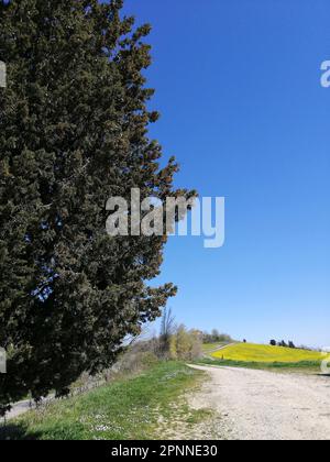 Predappio, Emilia Romagna, Italy: view from the ancient city hall ...