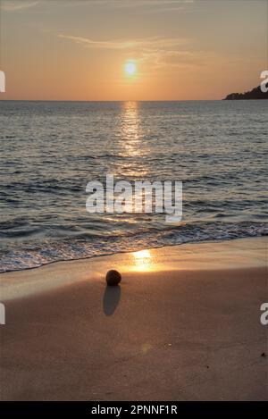 quiet peaceful scene at the sandy beach Stock Photo - Alamy