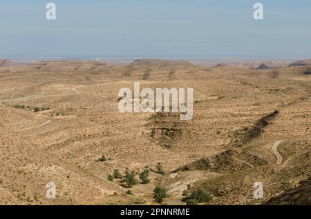 view of the dahar, tunisia Stock Photo - Alamy