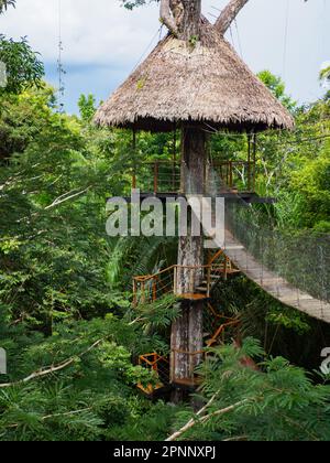 Glamping accommodation in the Amazon rainforest. Wooden treehouse ...