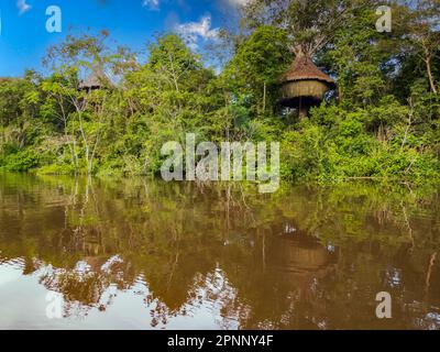 Glamping accommodation in the Amazon rainforest. Wooden treehouse ...