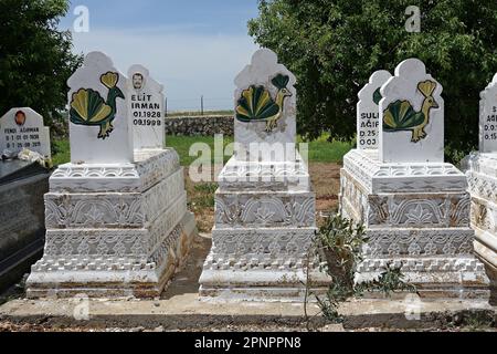A painting of a peacock is seen on graves in the village of Bacinê ...