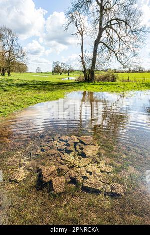 Water bubbling up from the spring forming the source of the River ...