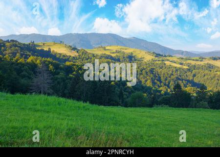fresh morning and peacefulness of the rural mountain landscape. scenery ...