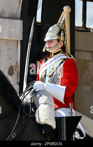 Female Horse Guard, Horse Guards Parade, Whitehall, London, UK Stock ...