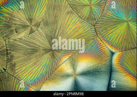 Vitamin C crystals on microscope slide Stock Photo - Alamy