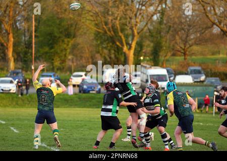 Llandeilo RFC v Cefneithin RFC 2023 Stock Photo - Alamy