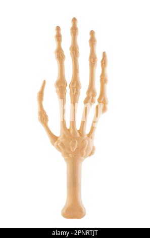 Spooky halloween skeletal hand isolated on white background with ...