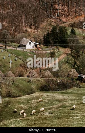Rural Balkan Landscape with Haystacks and Gazing Sheep Stock Photo - Alamy