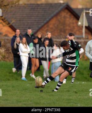 Llandeilo RFC v Cefneithin RFC 2023 Stock Photo - Alamy