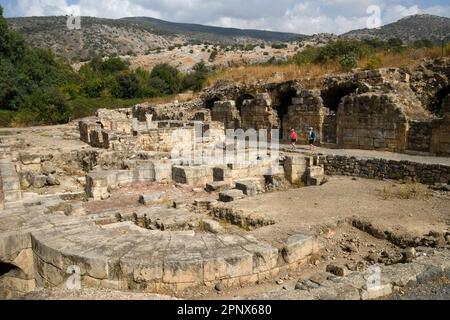 Banias National Park, Israel Stock Photo - Alamy
